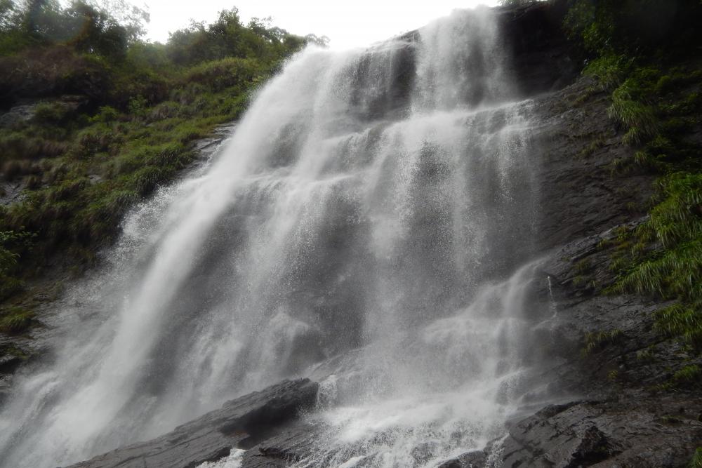 Book top rated Tours, Activities, Adventures, Homestays, Things to do ...